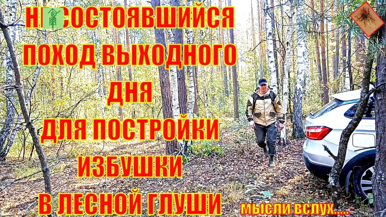 ПОХОД НЕ ПОХОД / НЕ СОСТОЯВШЕЙСЯ ПОХОД / БОЛТОЛОГИЯ и РАЗМЫШЛИЗМ О ТОМ О СЁМ / ЛЕС РАННЕЙ ОСЕНЬЮ