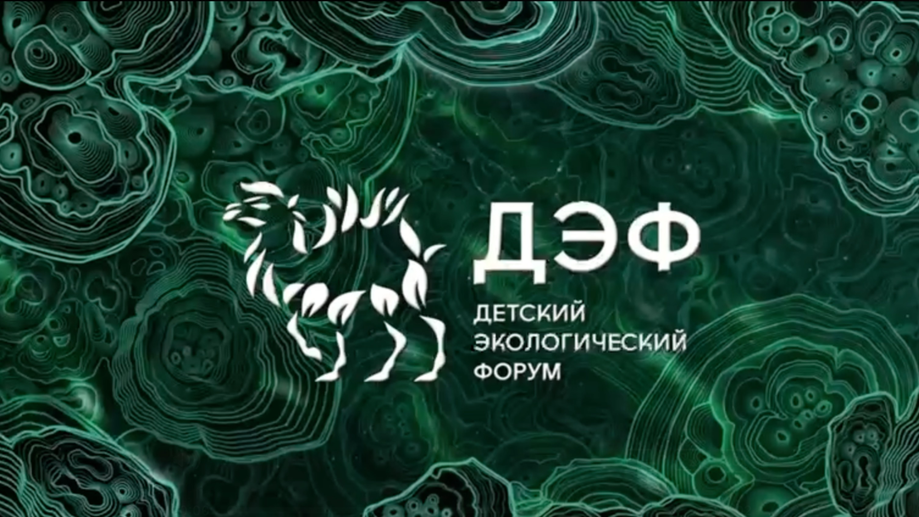 Детский Экологический Форум: команда Саратовской области