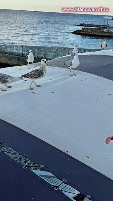 Кто смел тот и съел