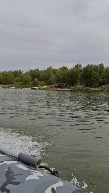 09.08.2025, Волгоградская обл., Городищенский р-он, река Дон, "самый лучший штурвальный".