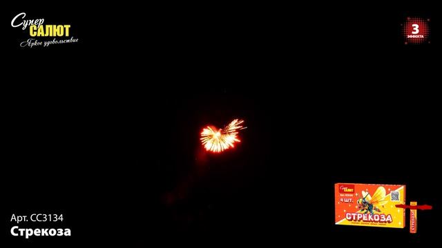 Стрекоза СС3134