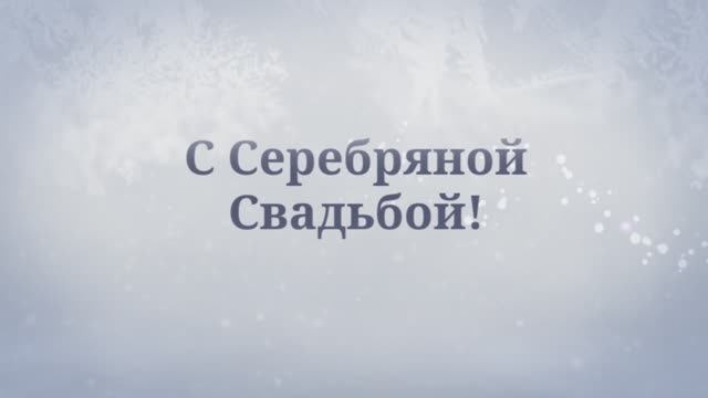 С Серебряной Свадьбой!  (№4 Зимняя Сказка)