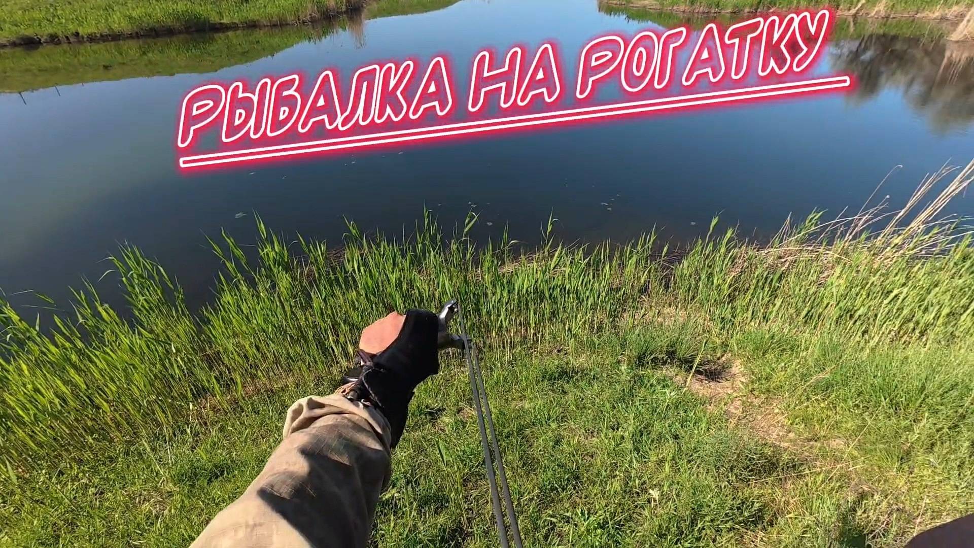 Рыбалка на Рогатку - Slingshot Fishing #охотасрогаткой #2025 #top #headshot #змееголов #fishing #1m