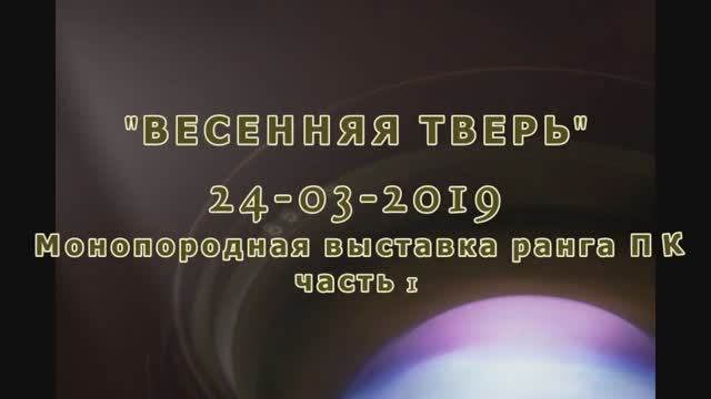 Тверь 24 03 2019 часть 1.mp4