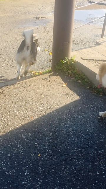 Привет привет...😄