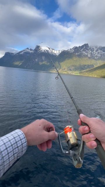 Простая и эффективная РЫБАЛКА В НОРВЕГИИ - ловля скумбрии на пилькер в красивейшем фиорде
