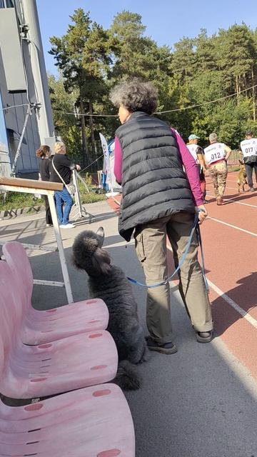 Хозяйка не грусти, ну пожалуйста!