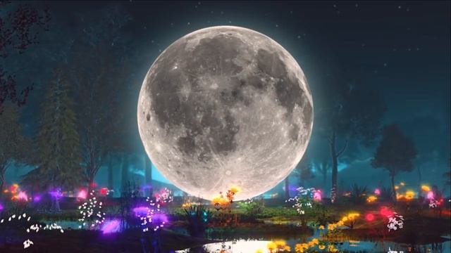 Есть у Меня Мечта (кавер)