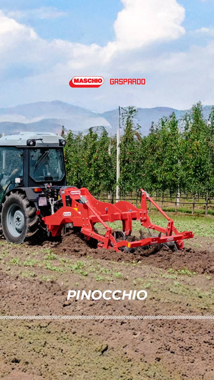 Универсальный глубокорыхлитель PINOCCHIO от MASCHIO GASPARDO - ваш надежный помощник круглый год!