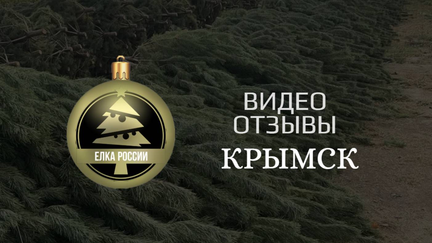 🎄НОВОГОДНЯЯ ЕЛКА ОПТОМ | видеоотзыв КРЫМСК🎄