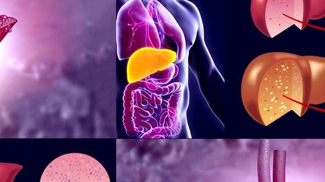 Простая рекомендация  по очищению печени от жира