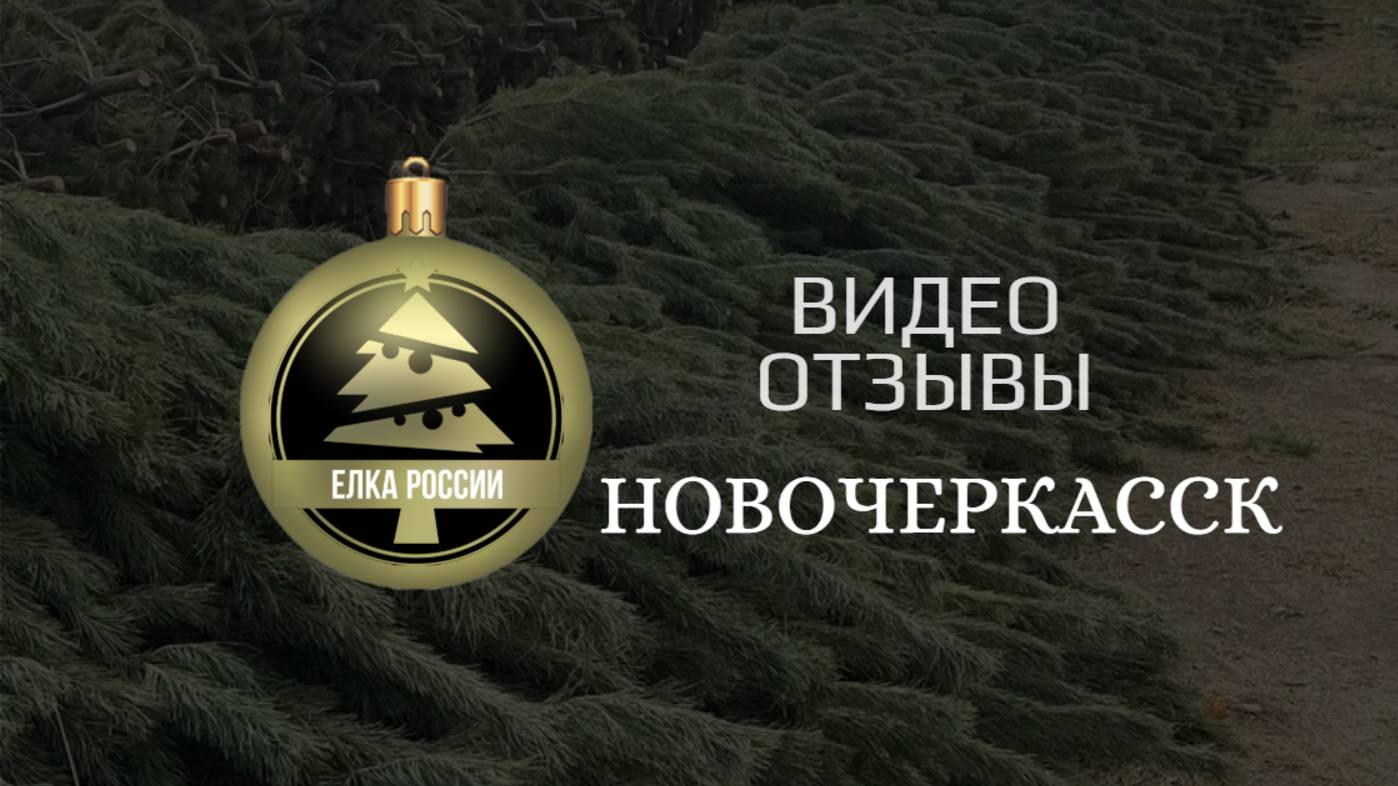 🎄Новогодняя Елка оптом | видеоотзыв НОВОЧЕРКАССК