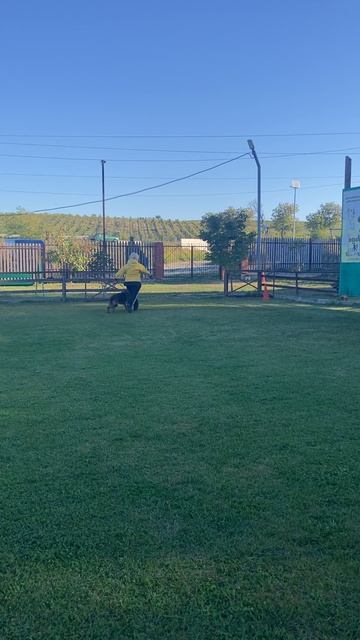 6.  выражено/пож УРФИНА ИЗ НОВОЙ СИБИРИ (Team del Sol Nascente Ekaraj – Кемберли из Новой Сибири)