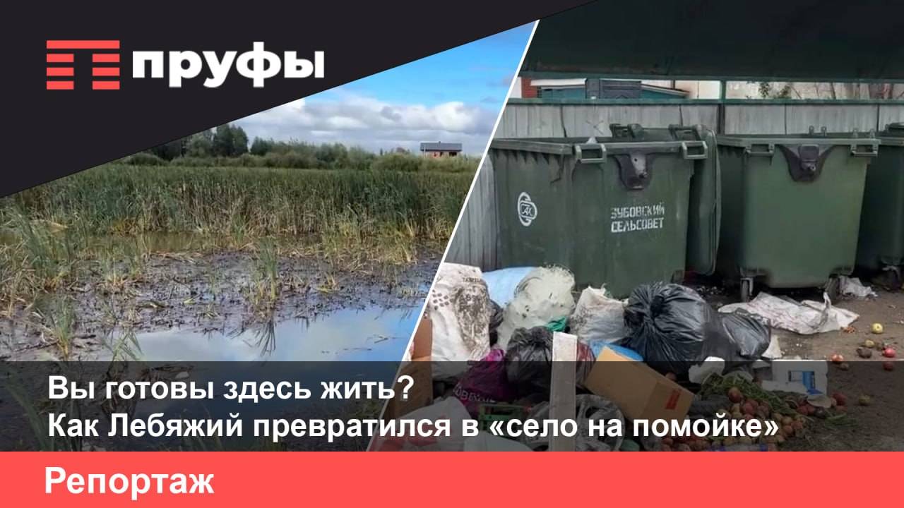 Вы готовы здесь жить? Как Лебяжий превратился в «село на помойке»