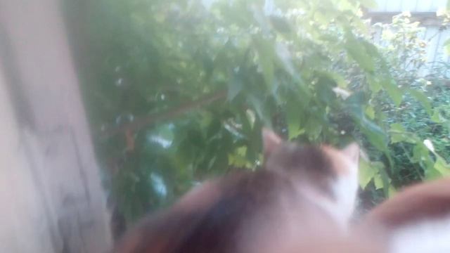 17 августа 2025 - какой чудесный день