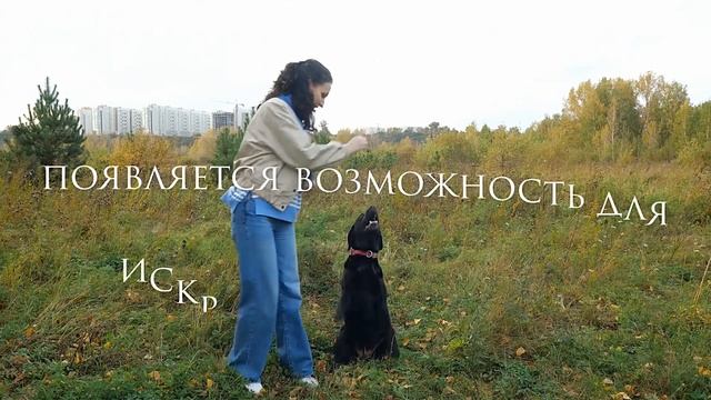 Анонс серии видеороликов про волонтеров "ВМесте"