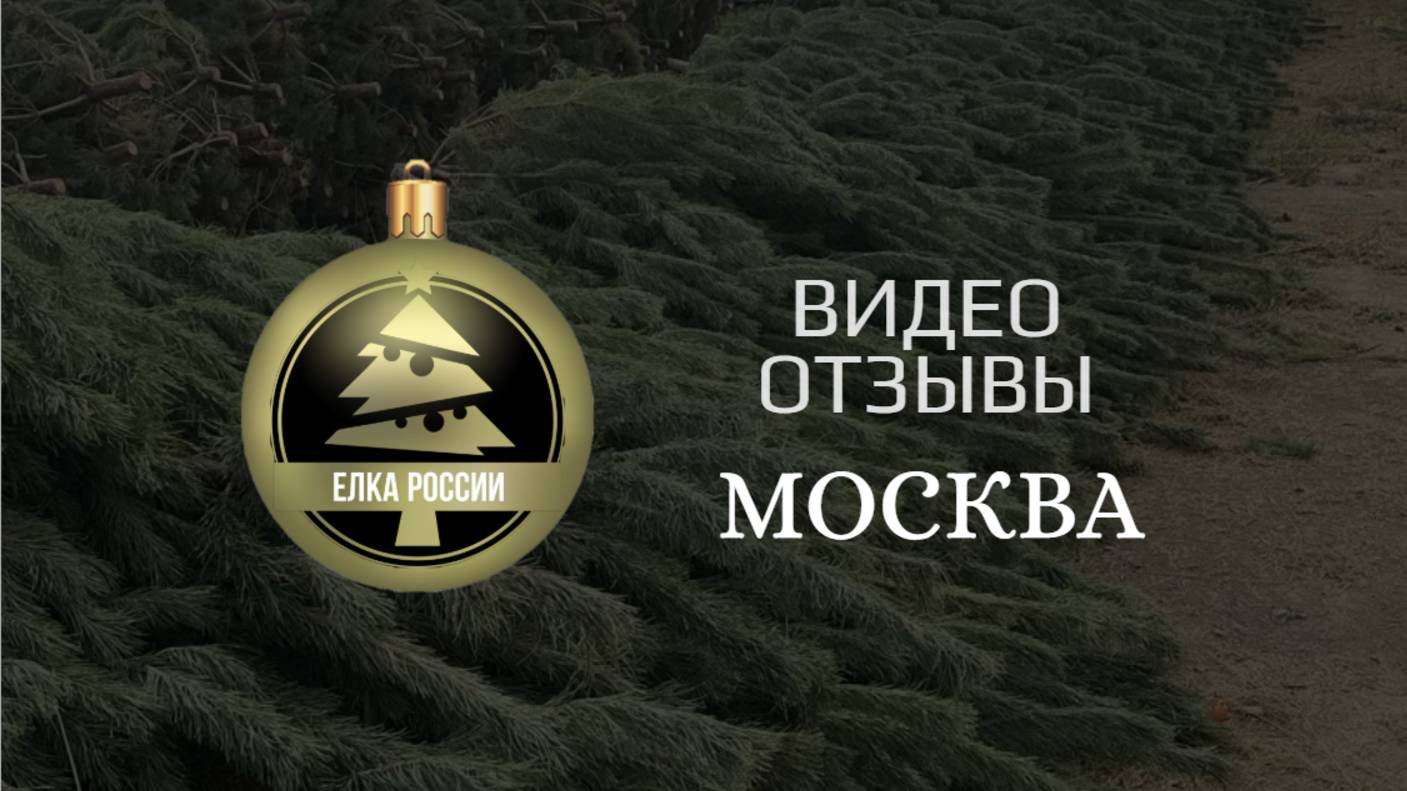 🎄НОВОГОДНИЕ ДЕРЕВЬЯ оптом | видеоотзыв МОСКВА