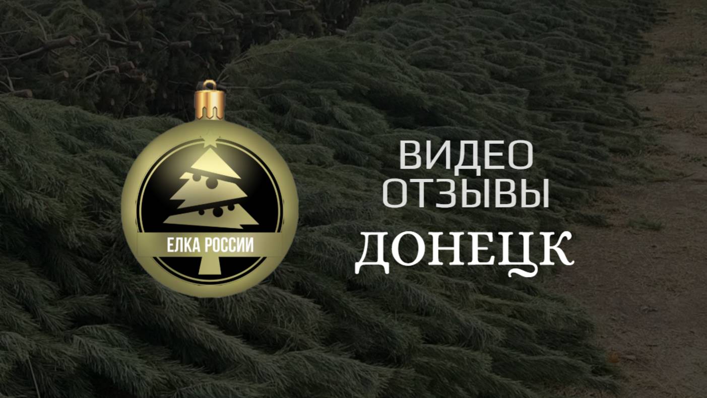 🎄Новогодняя Елка оптом | видеоотзыв ДОНЕЦК