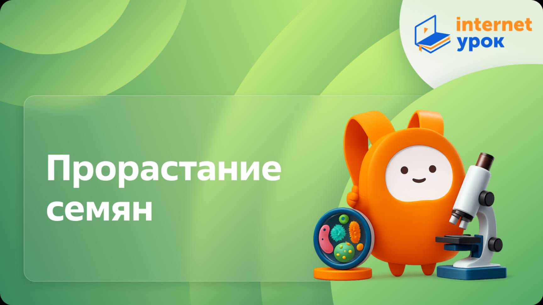 Биология 6 класс. Прорастание семян
