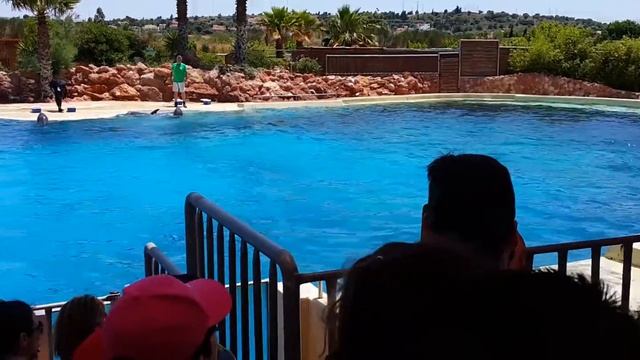 3440x1440 219 UltraWide video sample_1080p — копия — копия — копия — копия — копия — копия