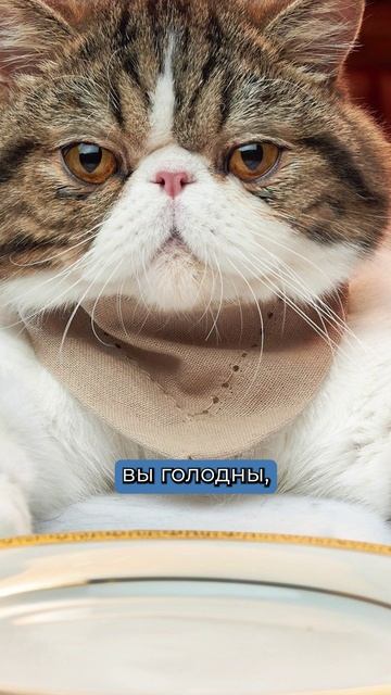 Правильная настойчивость в жизни: когда и как её применять эффективно