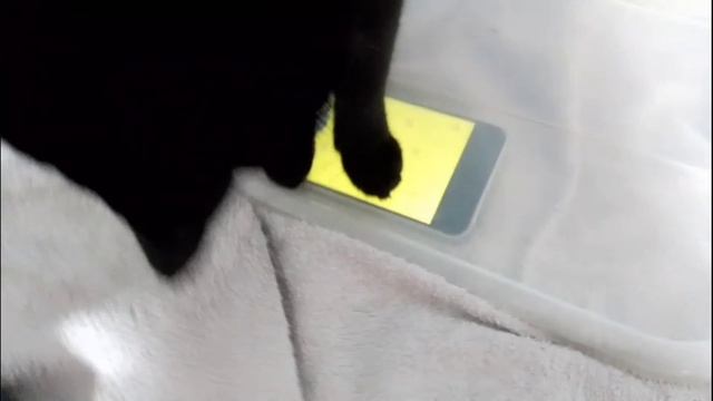 Они такие разные и всё-таки они вместе!