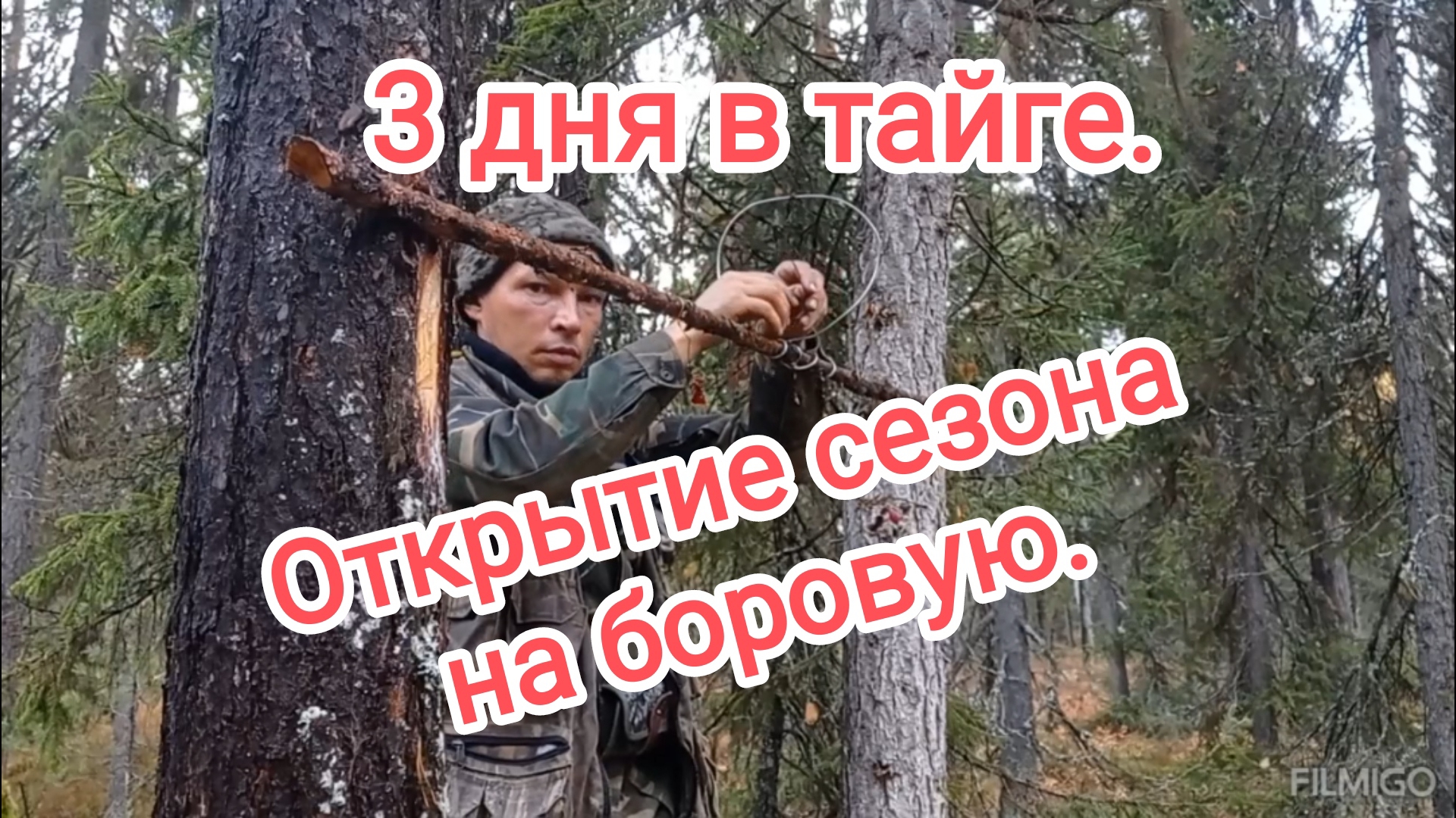 3 дня в тайге. Открытие сезона на боровую.