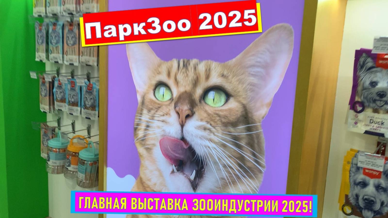 🐶🐱 ПаркЗоо 2025: самая крутая выставка для питомцев и роста бизнеса в зооиндустрии | Адвайзеры.рф