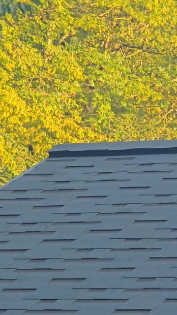 15 й день сборки каркасного дома фулл кровля. Компания "Эксо - Лес" www.ecsoles.ru