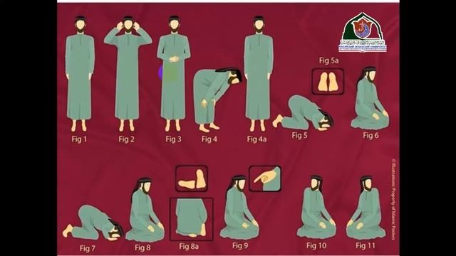 5 урок  Анатомия намаза (1080p)