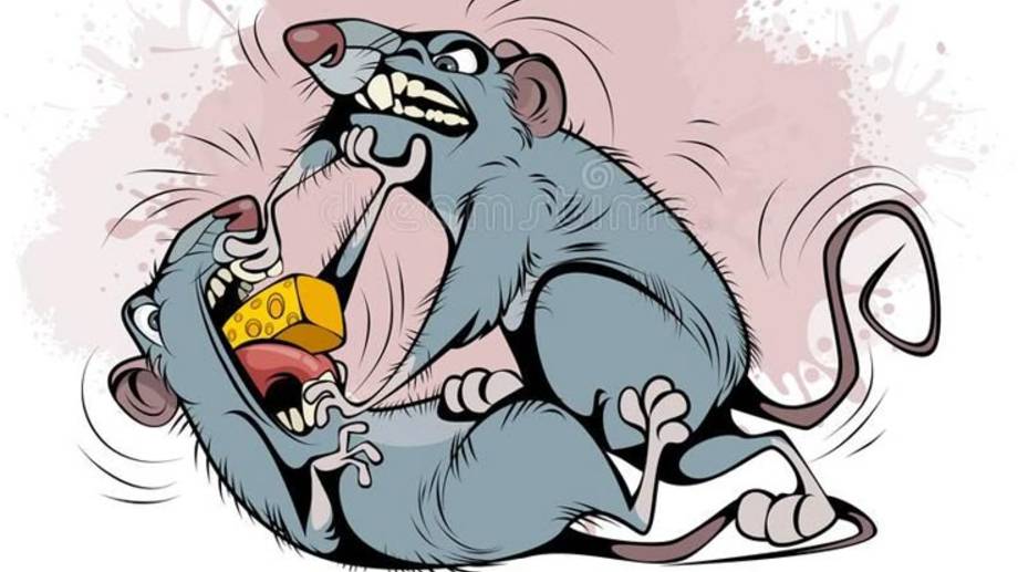 ЧИСТКА С БУМЕРАНГОМ. ОТ ПОДКЛАДОВ. ЗЛЫХ СОСЕДЕЙ, КОЛЛЕГ.