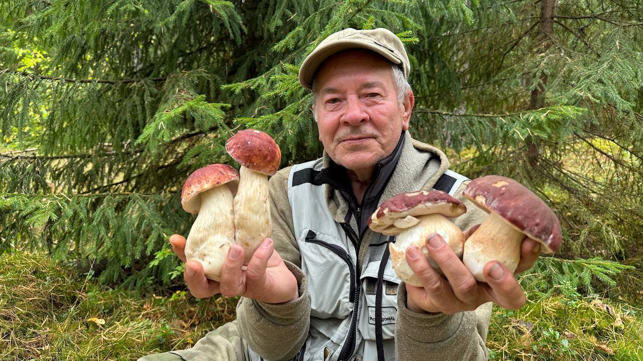 Боровики на 200 км. Мурманское шоссе в сторону Алёховщина. Я и Дима НЕ ЗРЯ ЗАГЛЯНУЛИ В ЛЕС.