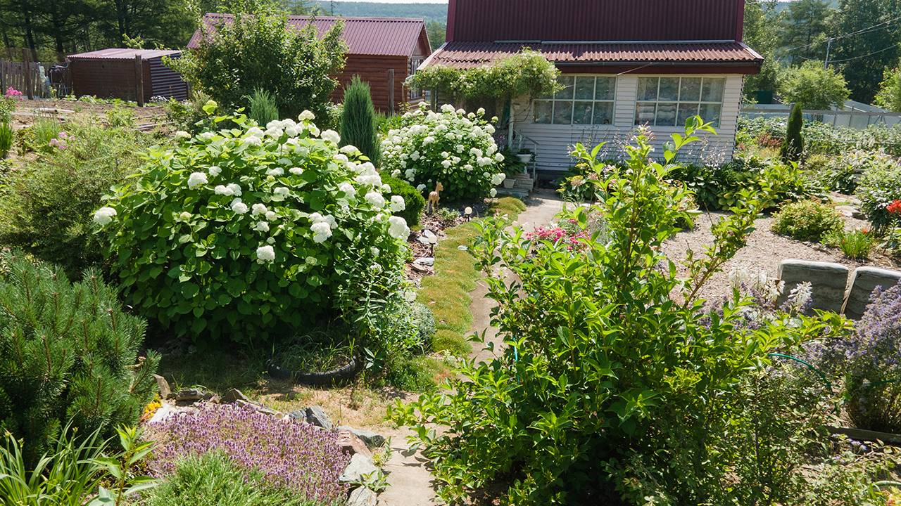 «В гостях уДачи». Лариса Зарубина