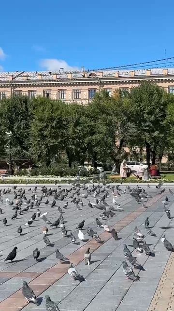 Хабаровск_2_0 (哈巴羅夫斯克_2_0)