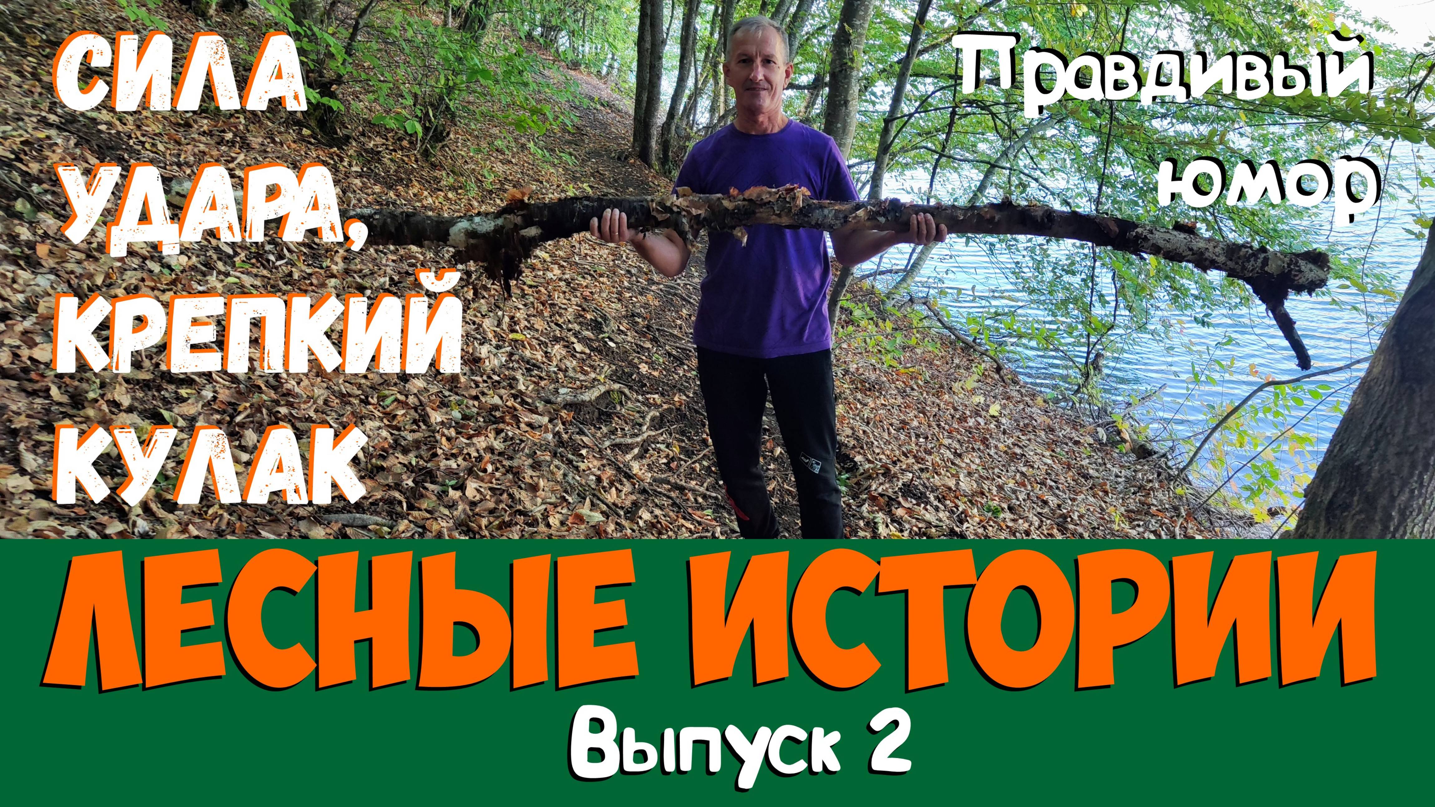Лесные истории 2. Сила удара, крепкий кулак.