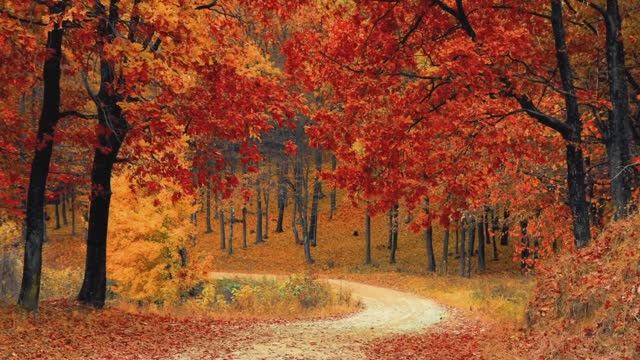 Валерий Луничкин "Осенняя песня"