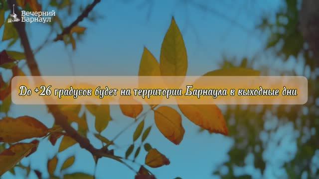 До +26 градусов поднимутся столбики термометров в эти выходные дни на территории Барнаула