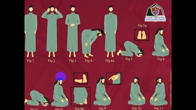 6 урок  Продолжение темы об анатомии намаза (1080p)