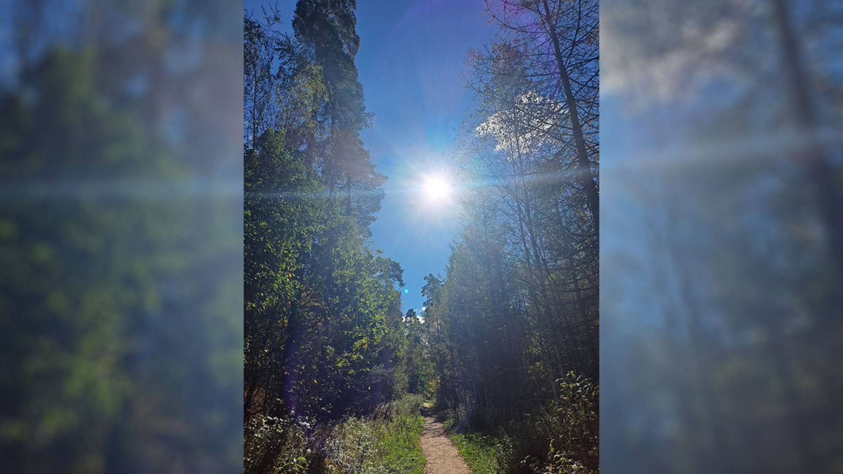 О подлинной духовности в Жизни