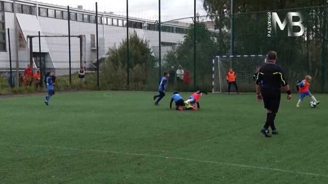 Кожаный мяч