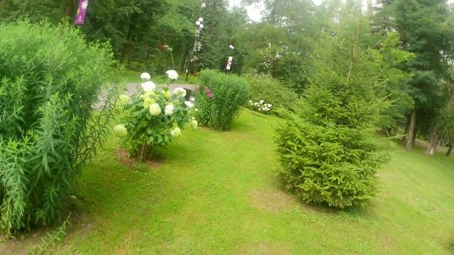 не спрашиваю