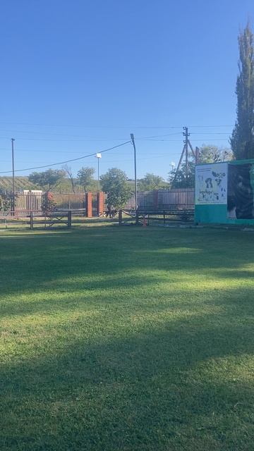 13.  выражено/пож БАЛАРИС КАРАМЕЛЬ (Баларис Блэк Файер – Viarel v. Gold Sieg)