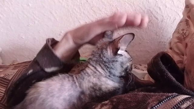 Ну как же не поваляться?