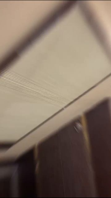 Комбо изделие "Красотка" штора+сетка на мансардное окно