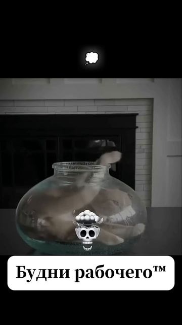 Смотрим рилсы