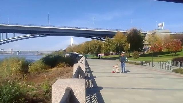 Михайловская Набережная/ Новосибирск/ Тёплый осенний денёк/25.09.2025🍁🍁🍁🍁🌞