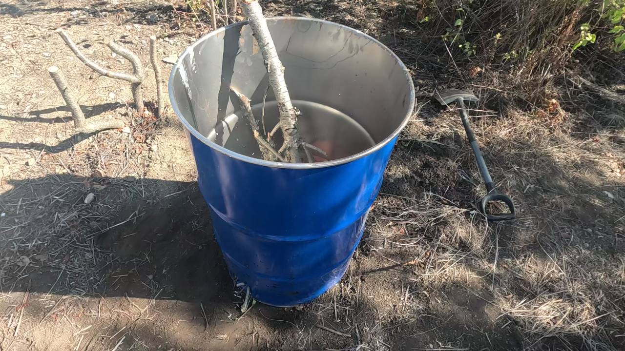 Разрешено ли спалить ветки в железной бочке на садовом участке?