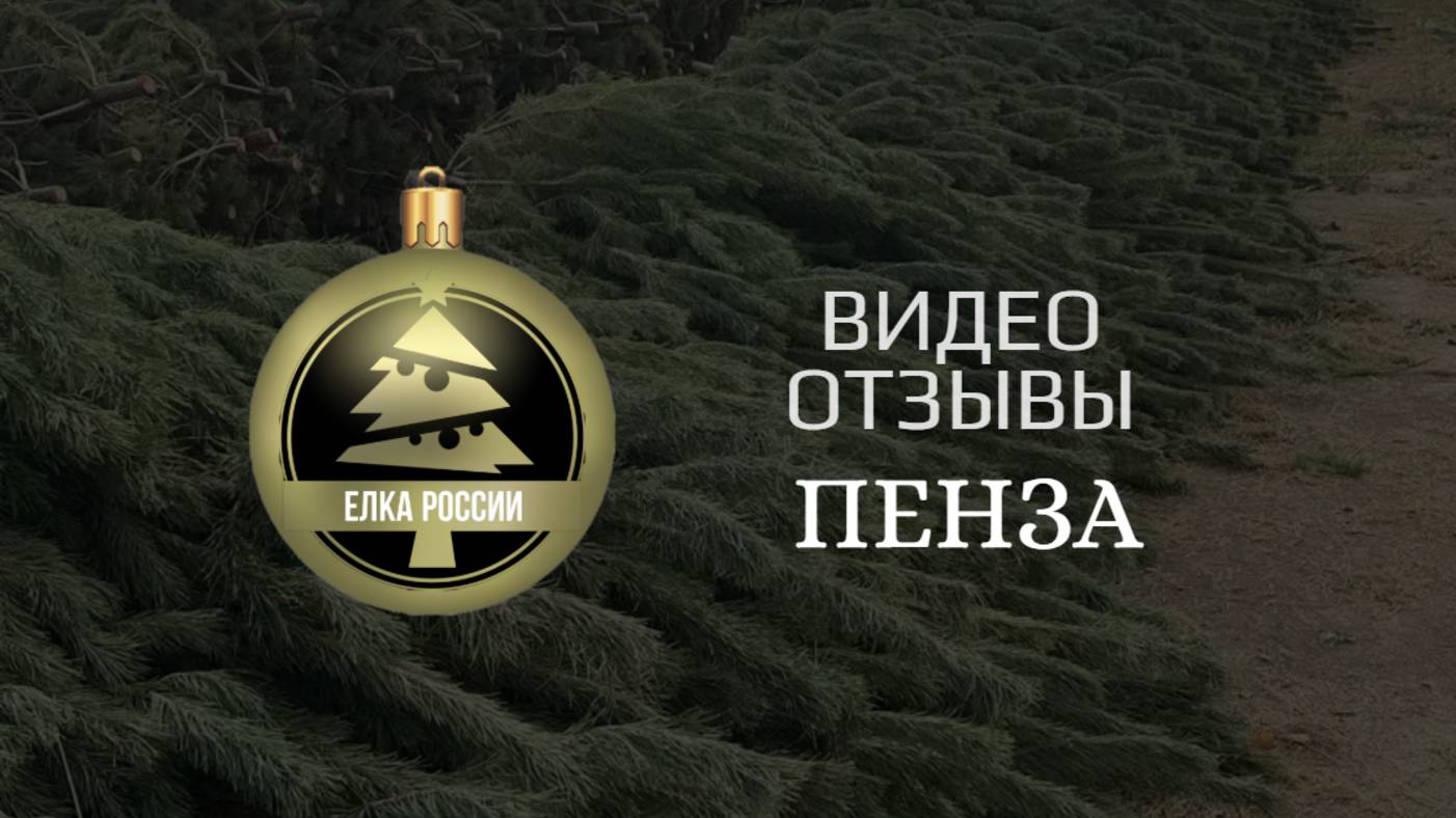 🎄Новогодняя Елка оптом | видеоотзыв ПЕНЗА