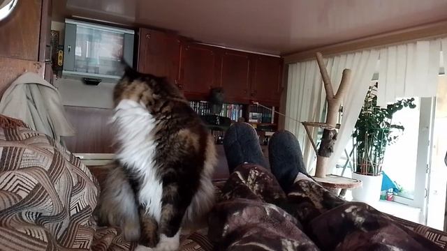 Поваляемся?