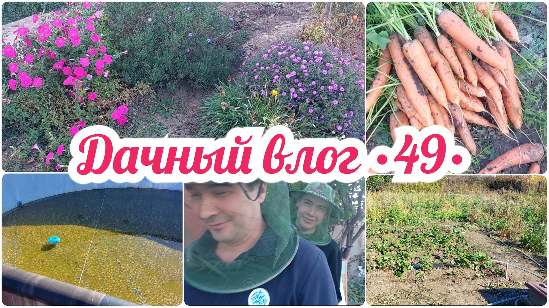 ПОМЫЛА И РАЗОБРАЛИ БАССЕЙН 🔥 УБОРКА ТРАВЫ НА УЧАСТКЕ // ВЫКОПАЛА МОРКОВЬ // СПАСАЕМСЯ ОТ МОШЕК